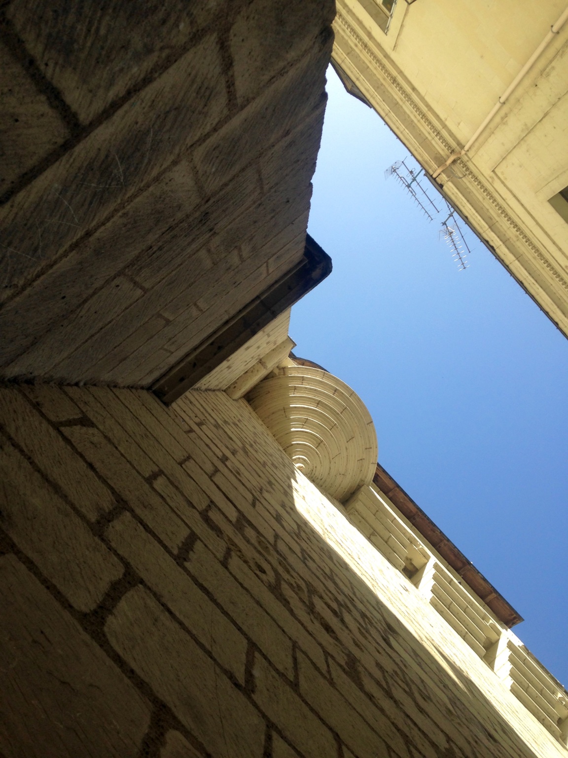 Dinteles ° 2018-2021 – Bossquito