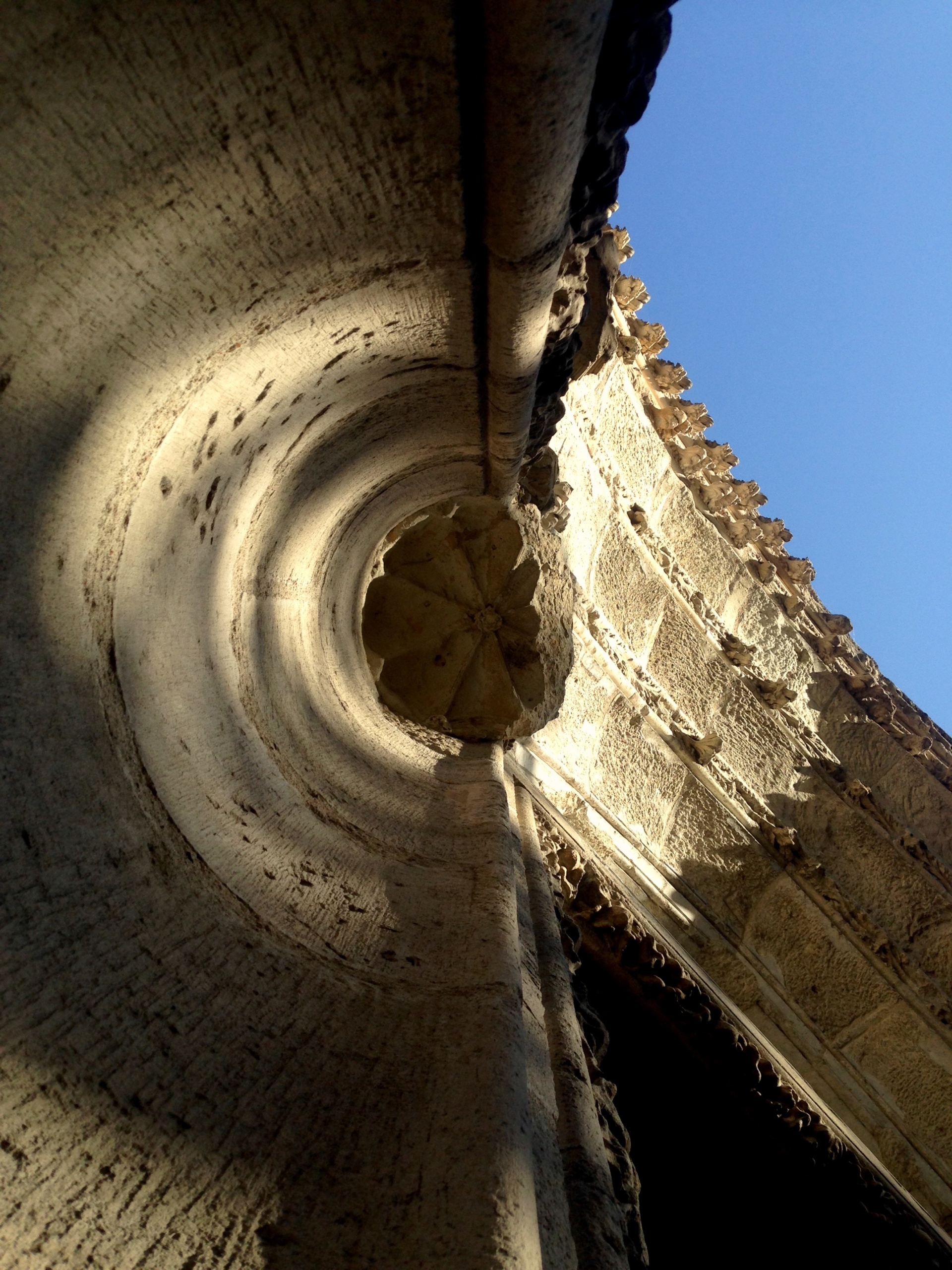 Dinteles ° 2018-2021 – Bossquito